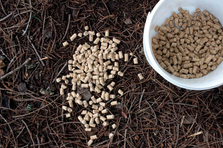 Ferafeed Pellet Prefeed | Possum and rat lures | Connovation Ltd