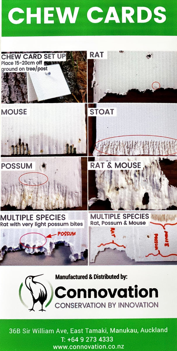 Chew Cards - monitoring | Effective animal pest control | Connovation