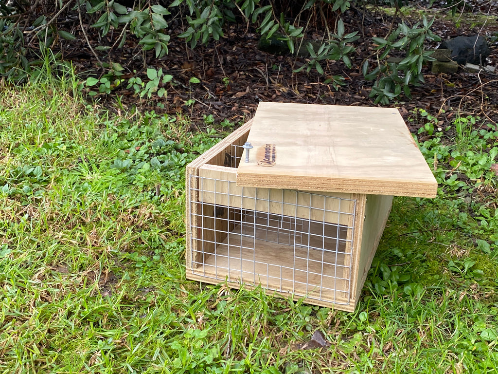 DOC250 Trap Range | Effective ferret, stoat, rat traps | Connovation